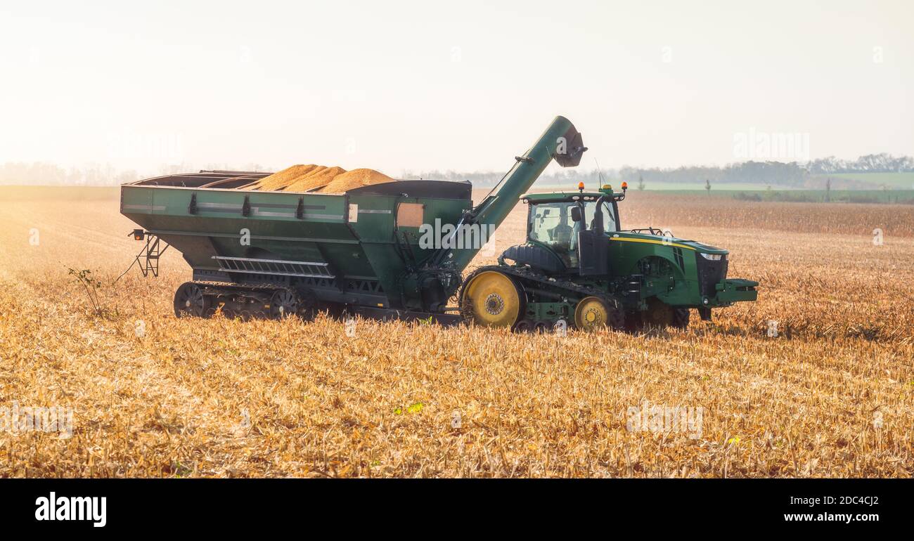 Tractor with Trailer Full of Grain on Harvested Corn Field Stock Photo ...