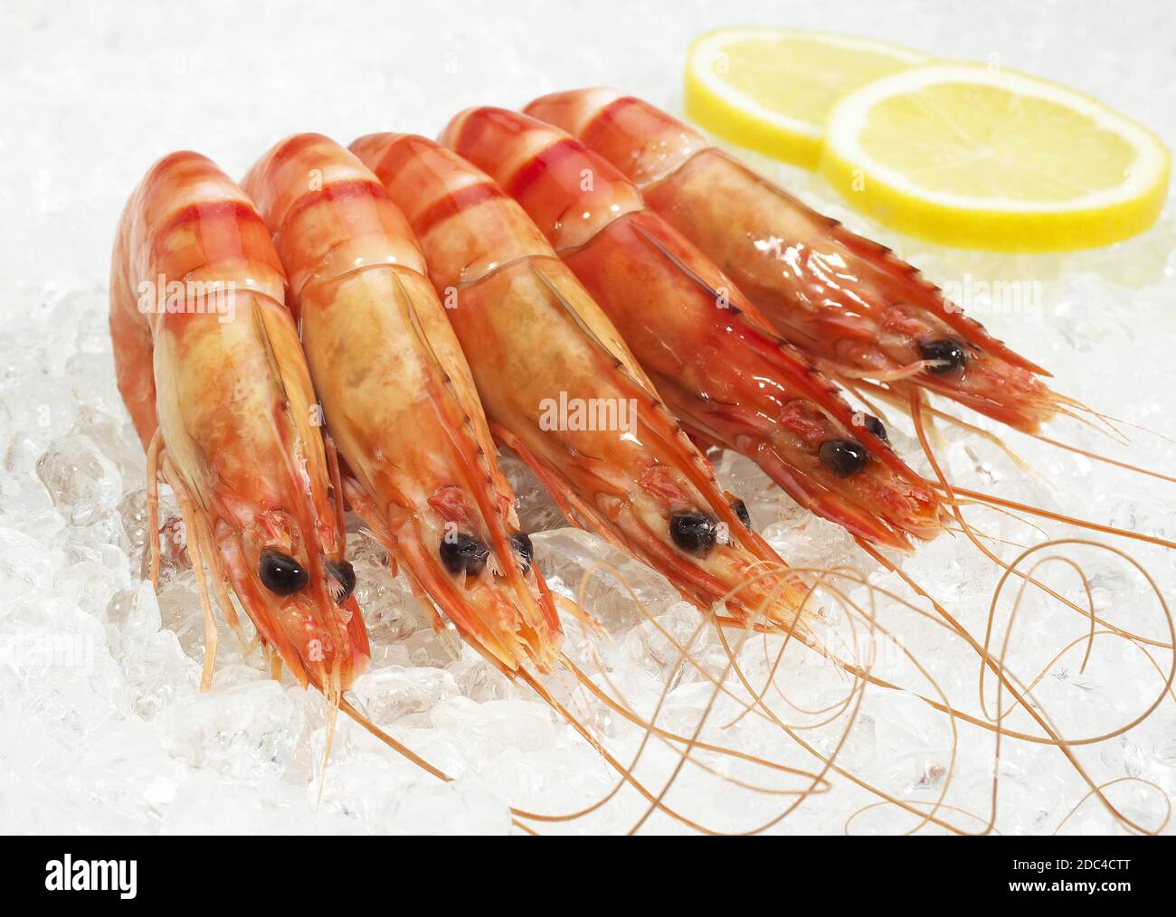 FRESH PRAWN ON ICE WITH A SLIDE OF YELLOW LEMON Stock Photo - Alamy