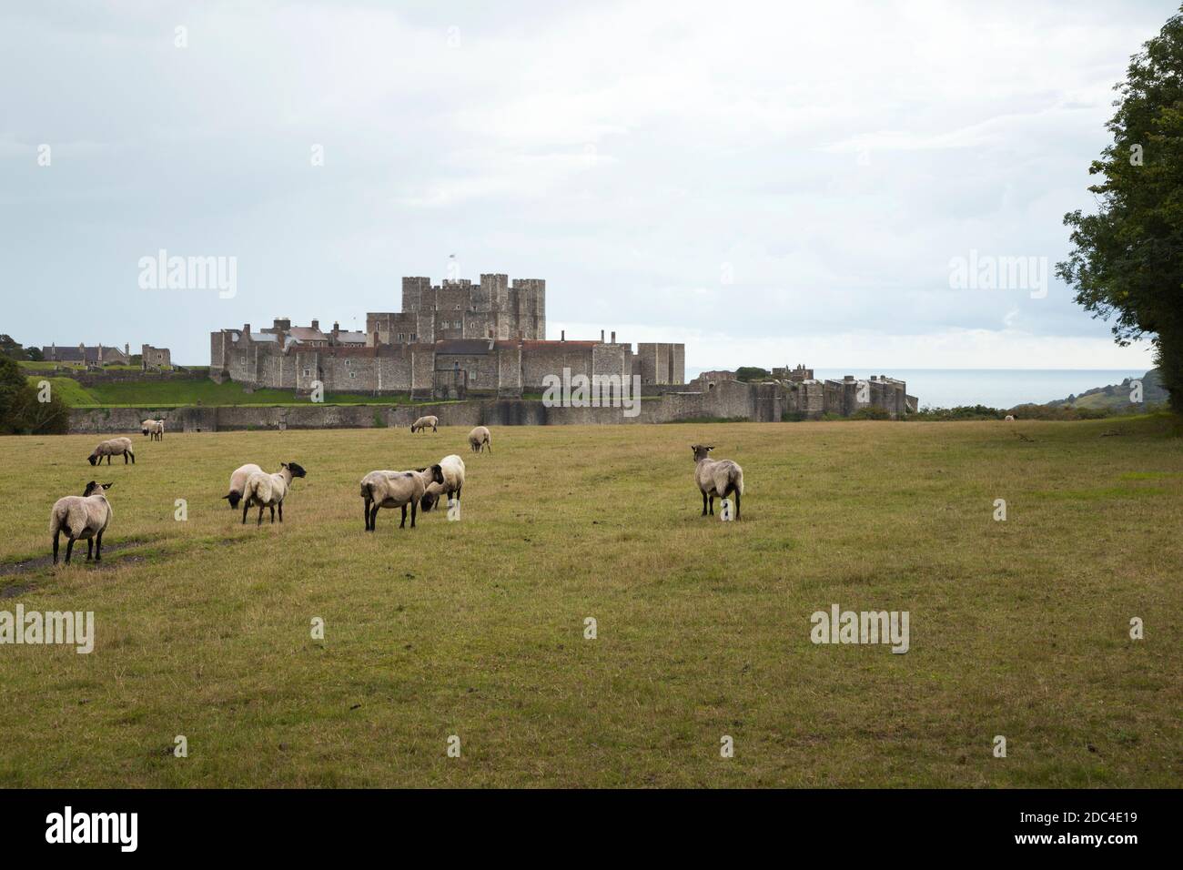 With dover castle in th hi-res stock photography and images - Alamy