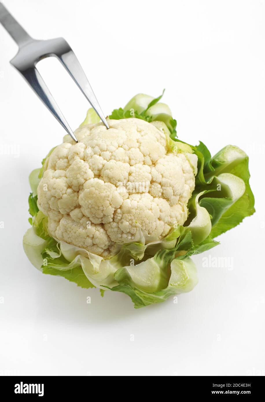 DWARF OR MINIATURE CAULIFLOWER brassica oleracea Stock Photo - Alamy