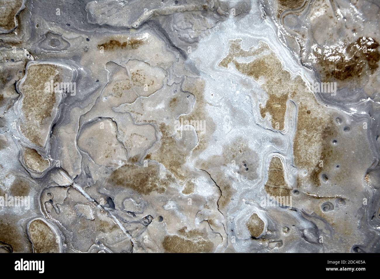 Wet rock. Natural stone surface. Textured background Stock Photo - Alamy