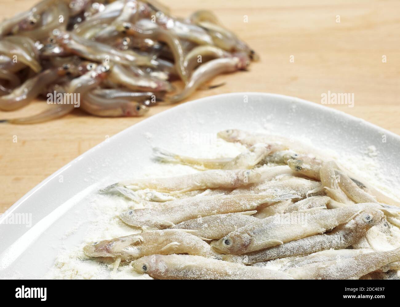 FRESH SMELTS osmerus eperlanus WITH OTHERS WITH FLOUR BEFORE FRYING ...