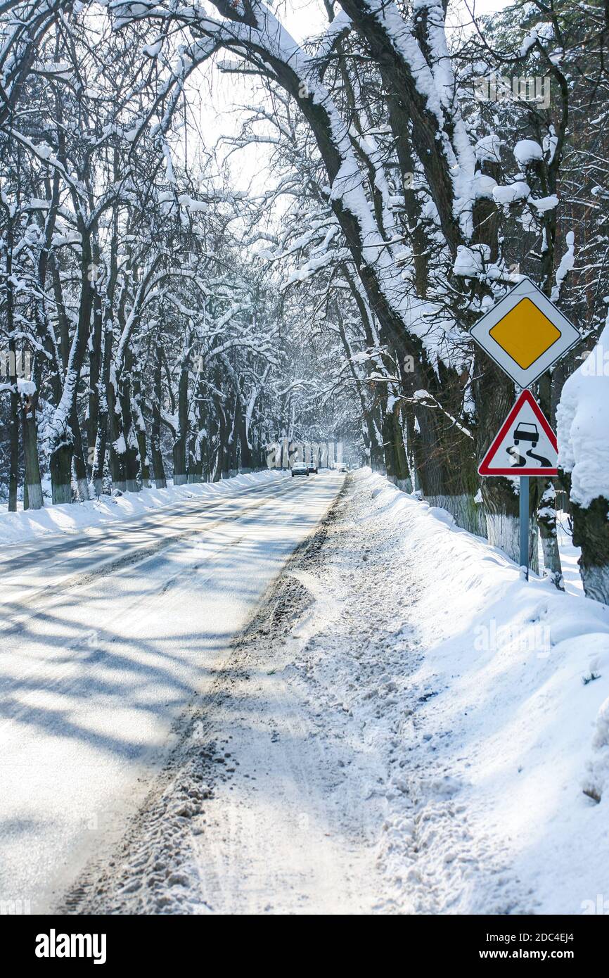 winter road with trees in snow Stock Photo - Alamy