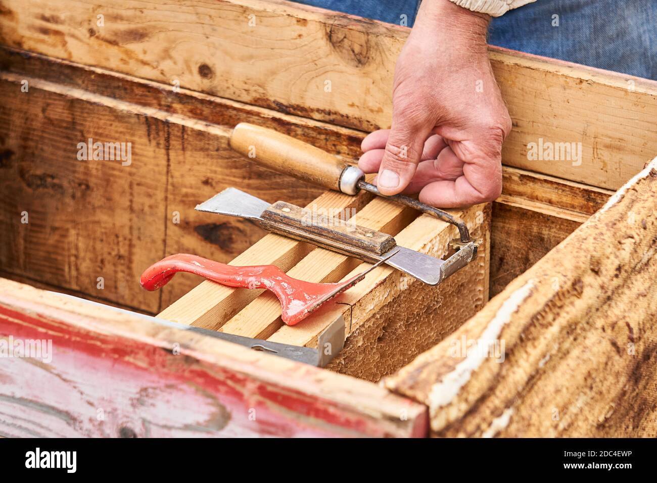 beekeeper tools and his hand on the background of honeycomb frames in ...