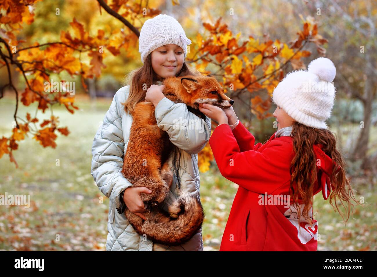 Two girls holding fox in her arms in autumn park Stock Photo - Alamy