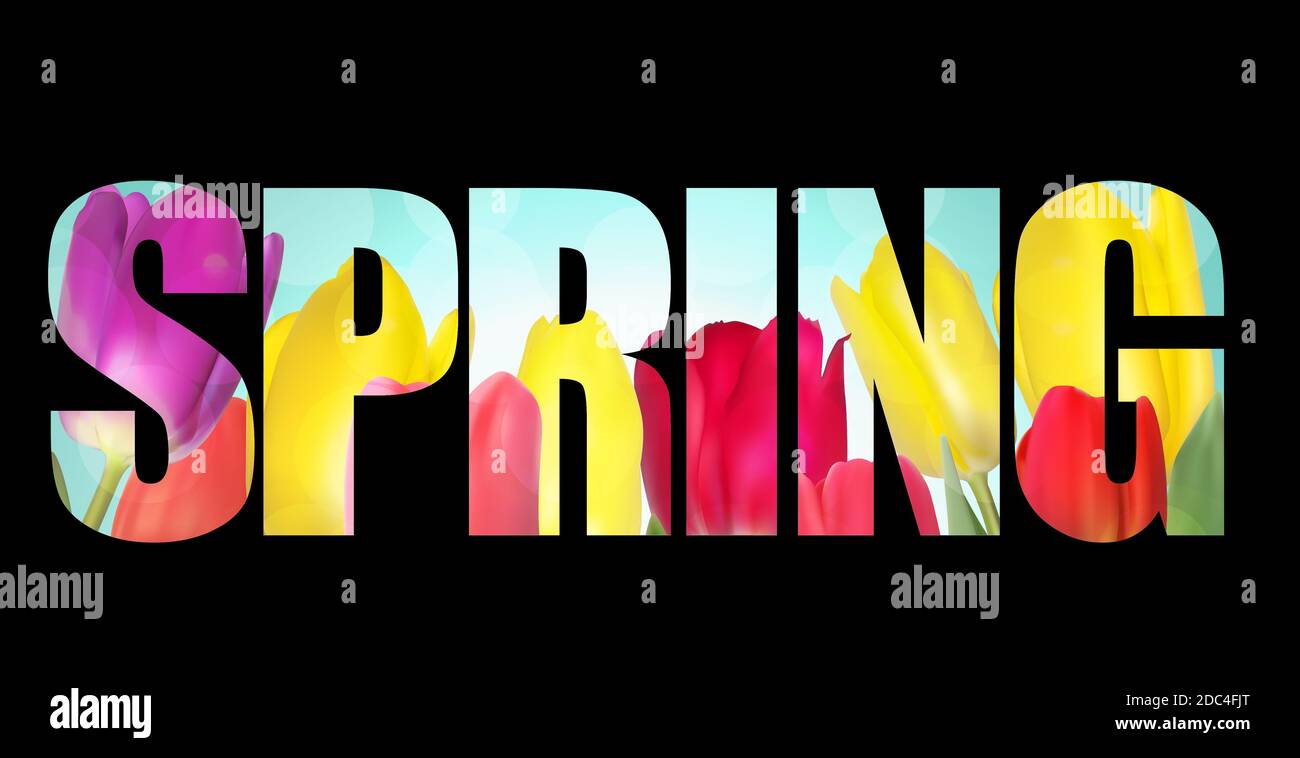 Abstract Flower Spring Background Illustration Stock Photo - Alamy