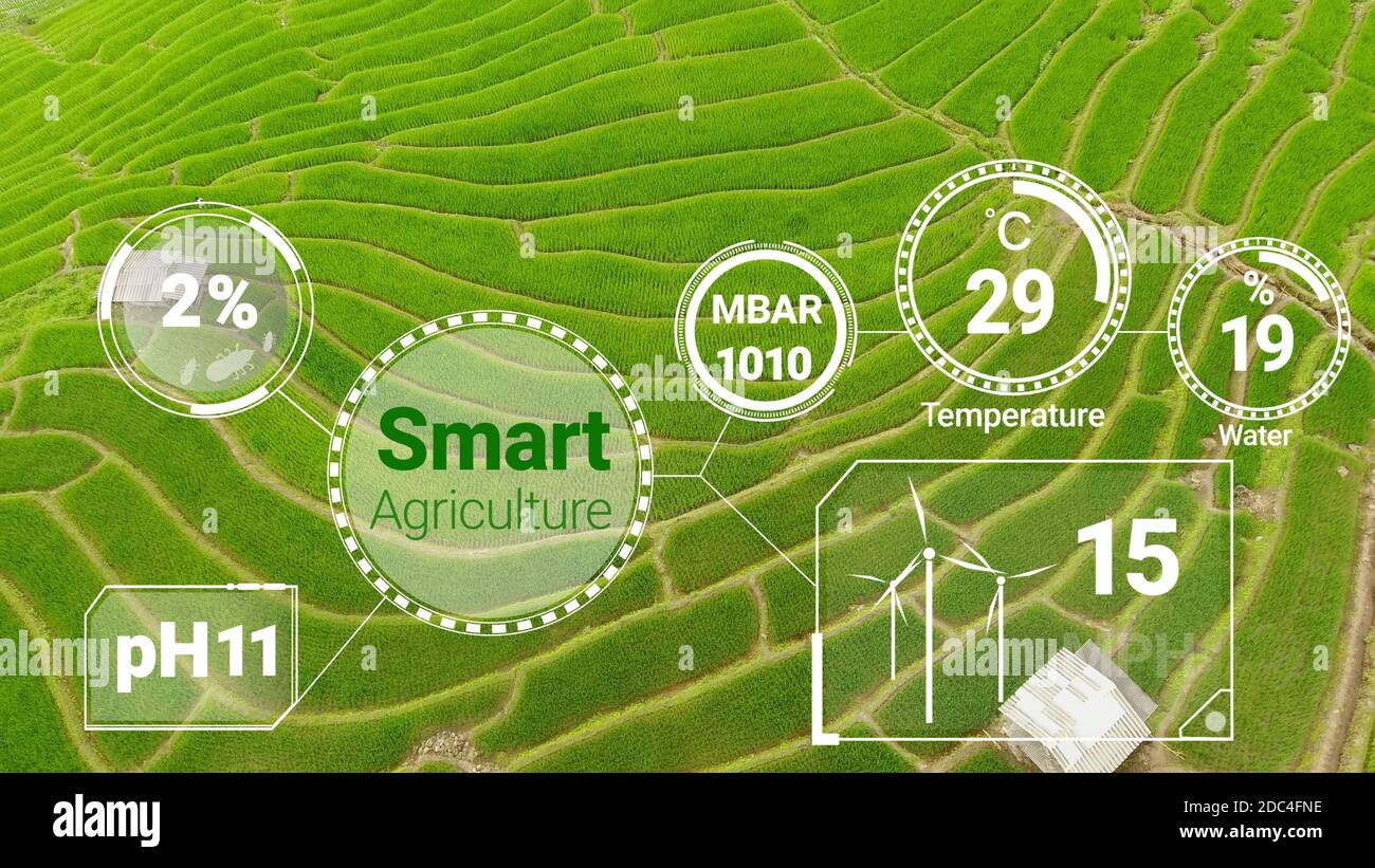 Precision agriculture top view hi-res stock photography and images - Alamy