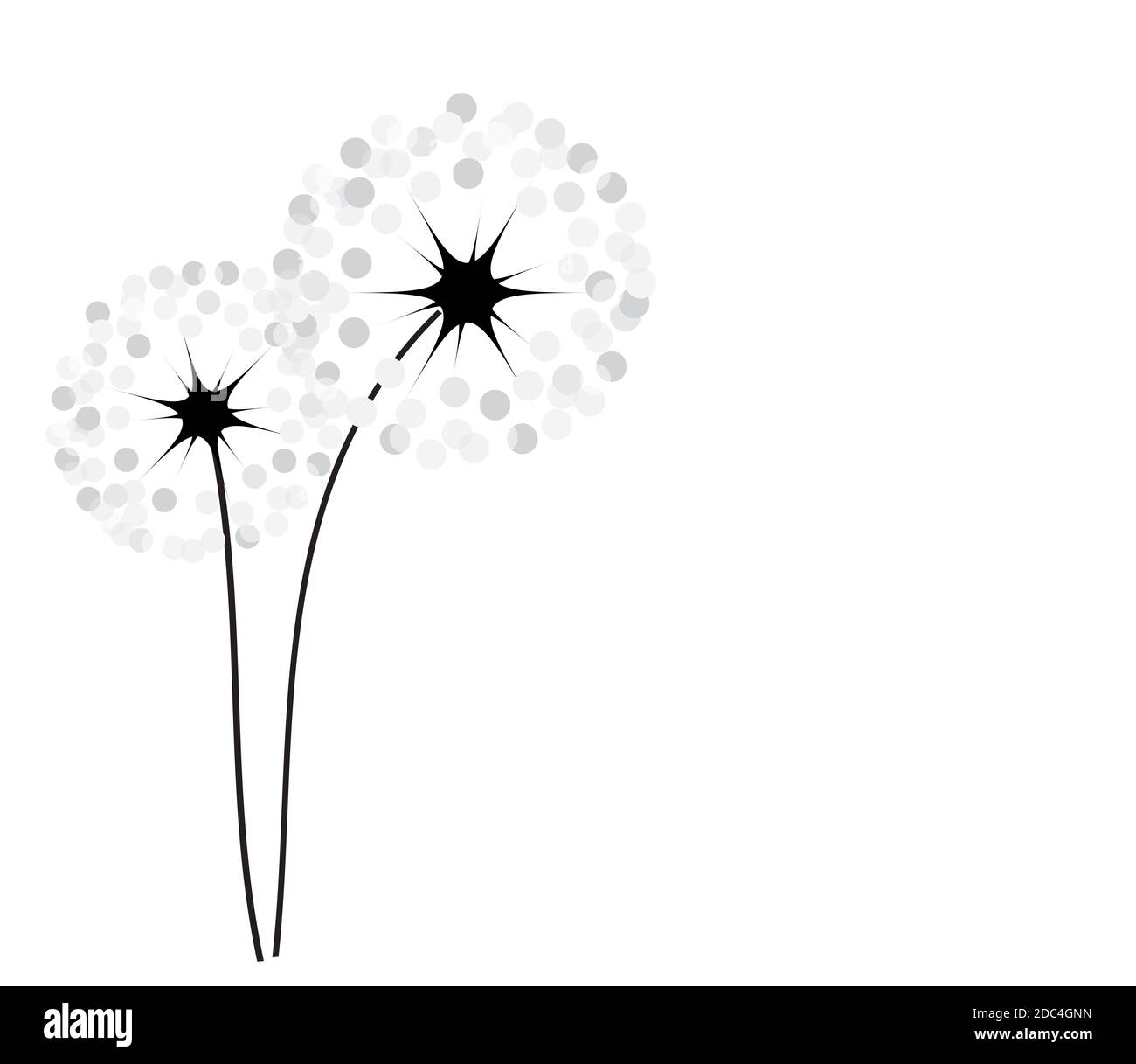 Abstract dandelion background illustration Stock Photo - Alamy