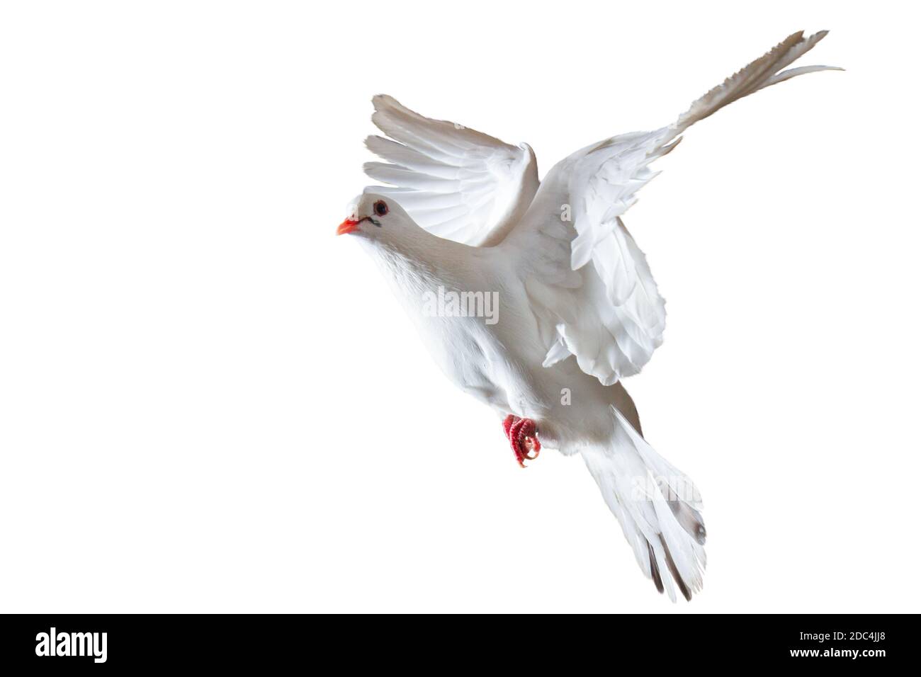 Blue sky two white Cut Out Stock Images & Pictures - Alamy