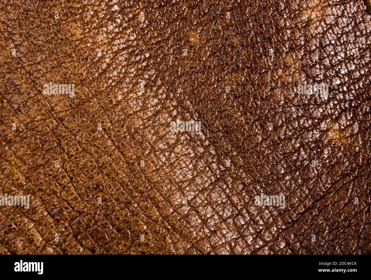 Old vintage genuine soft brown leather texture background, top layer ...