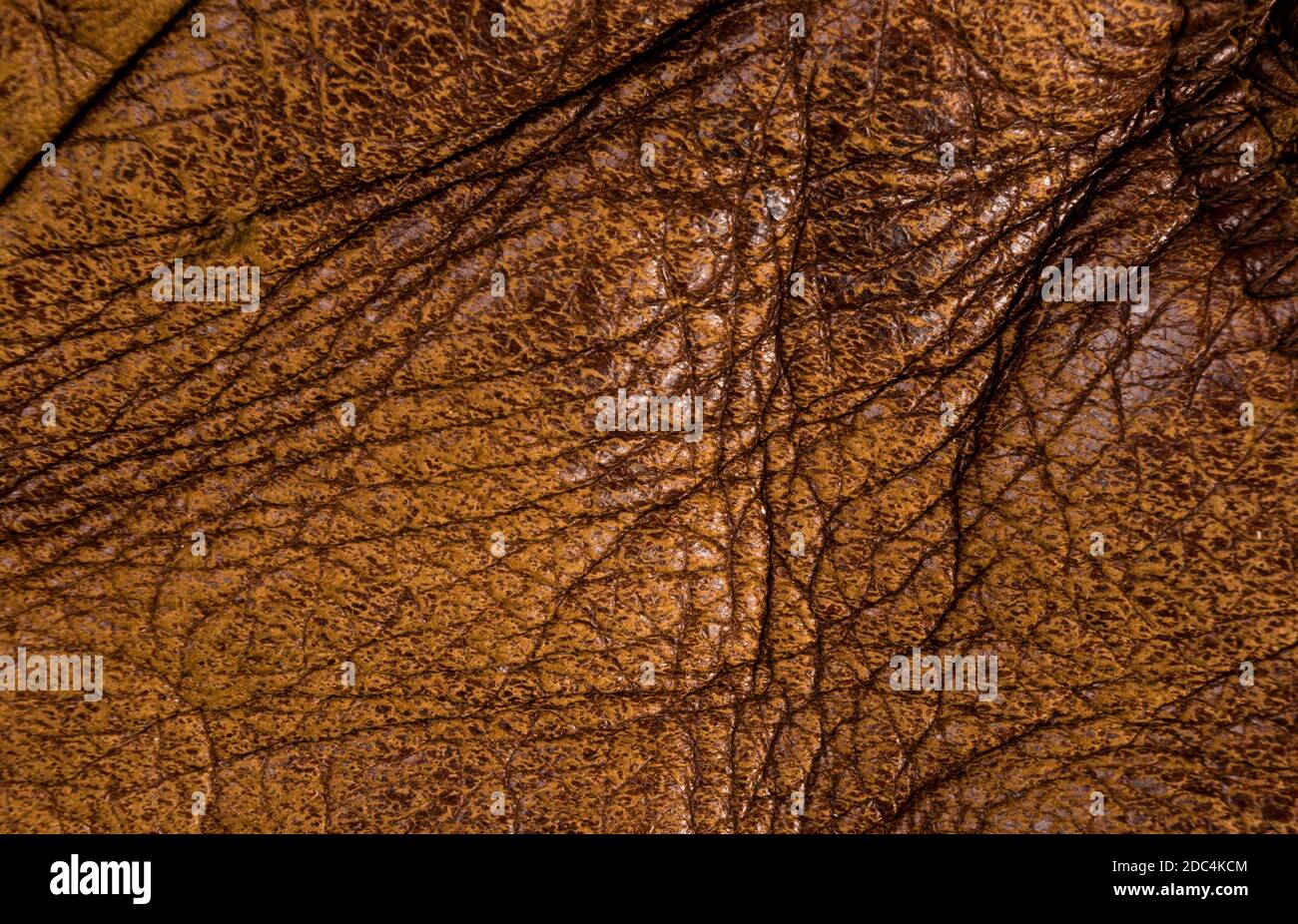 Old vintage genuine soft brown leather texture background, top layer ...