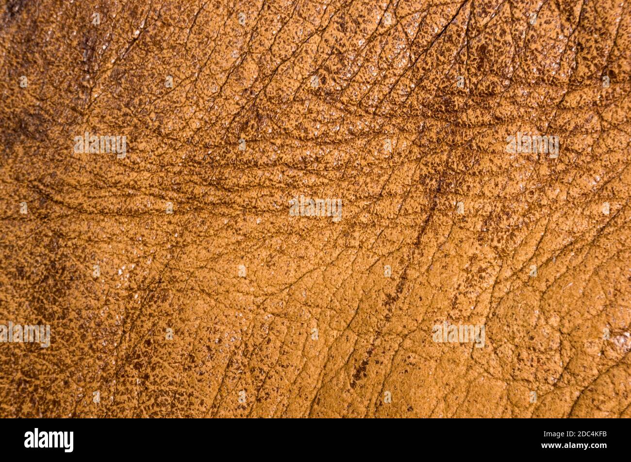 Old vintage genuine soft brown leather texture background, top layer ...