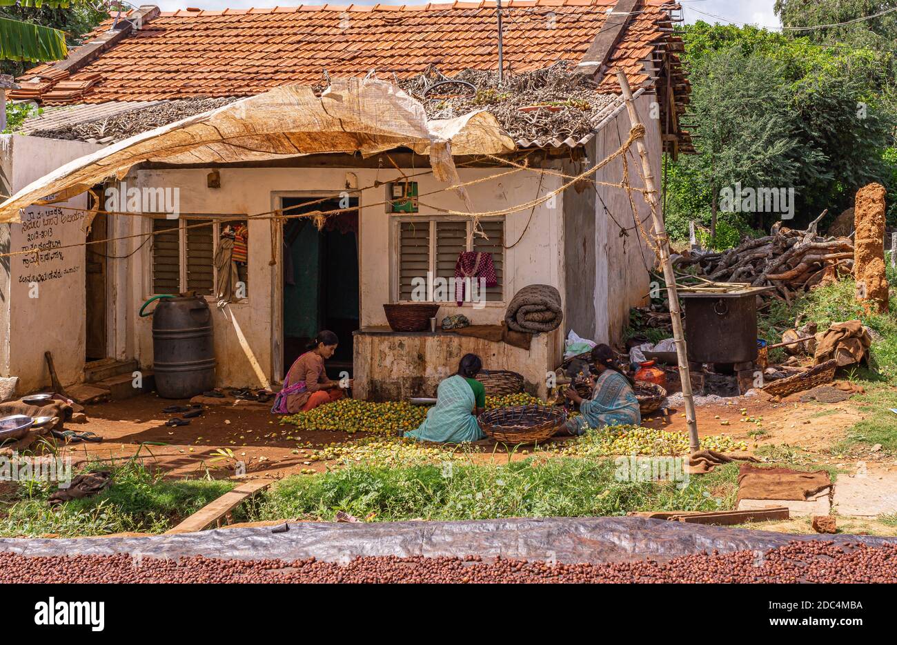 Women cut hi-res stock photography and images - Alamy