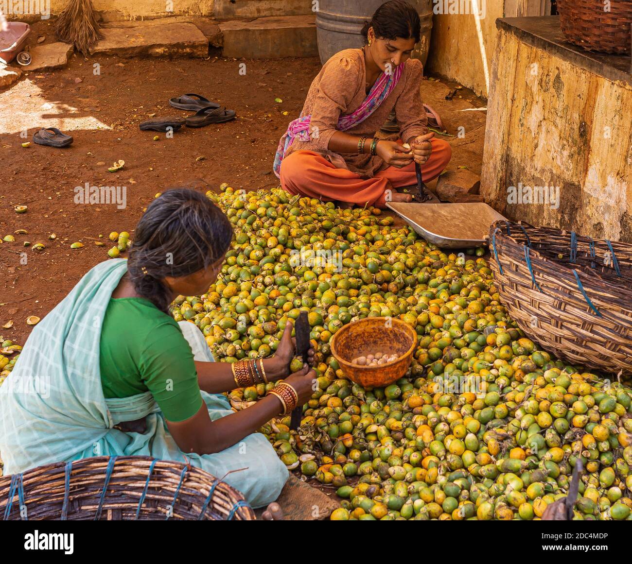 Pale catechu hi-res stock photography and images - Alamy