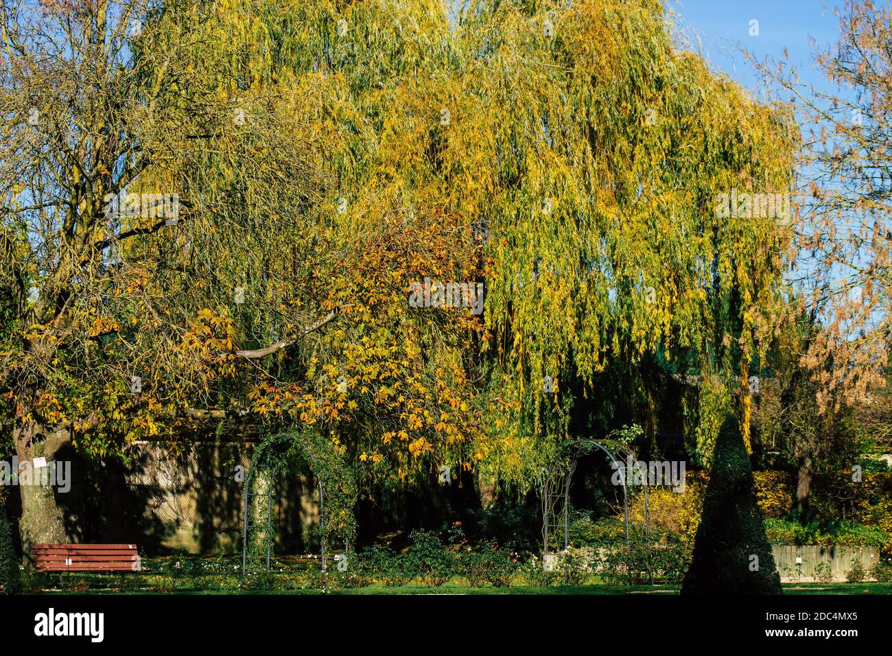 Reims France November 18, 2020 View of trees with fall colors in a ...