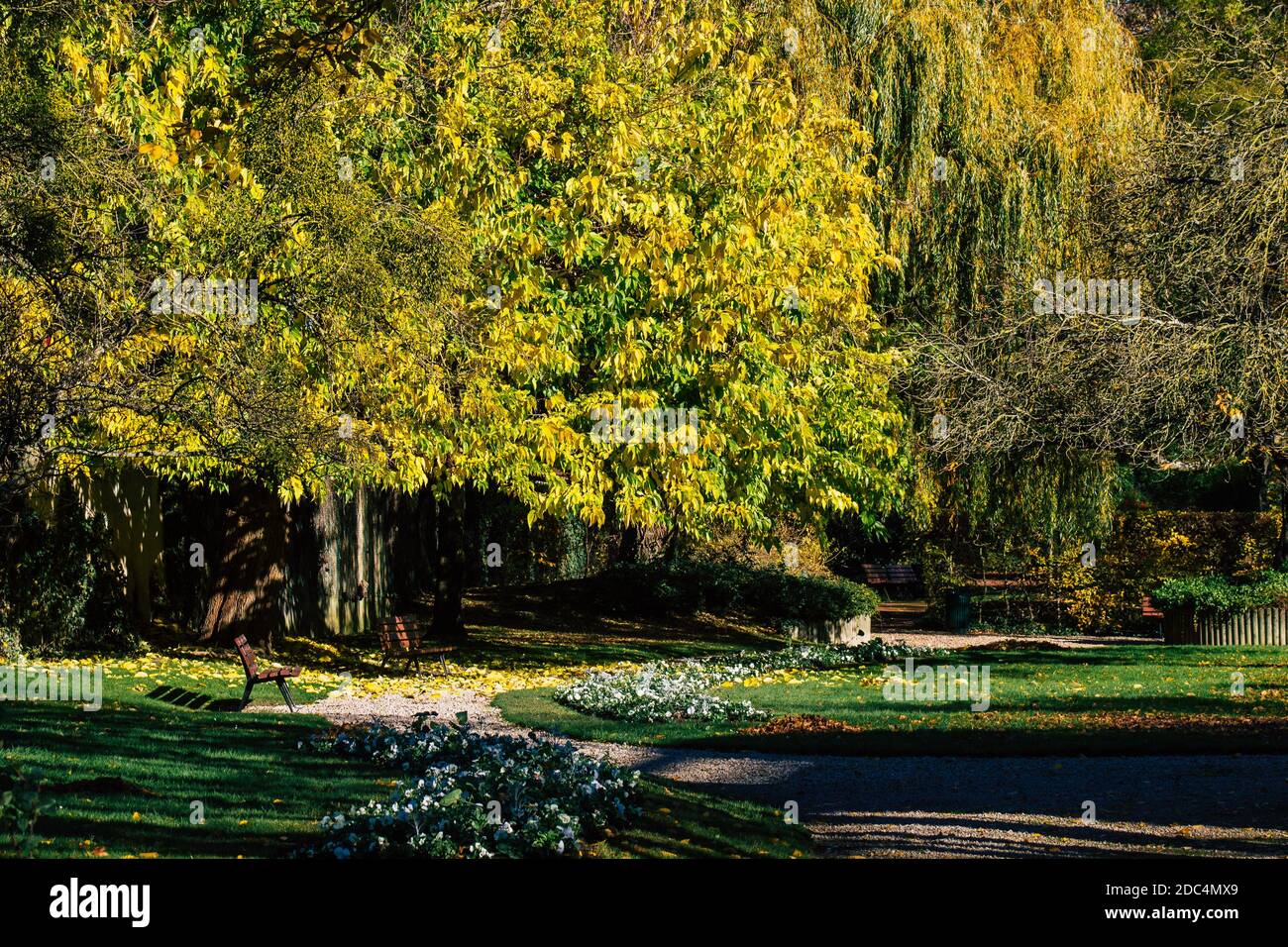 Reims France November 18, 2020 View of trees with fall colors in a ...
