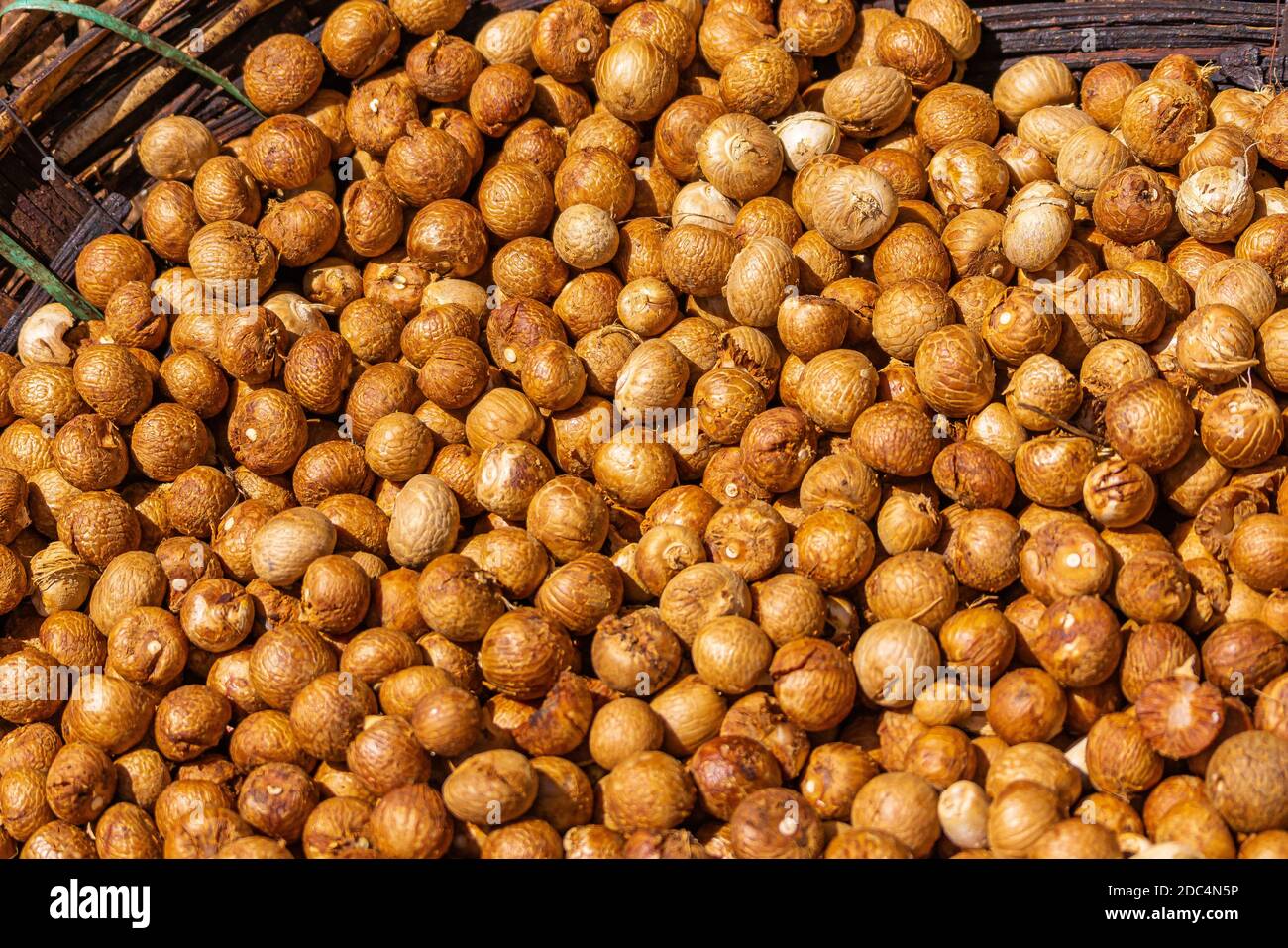 Arecoline hi-res stock photography and images - Alamy