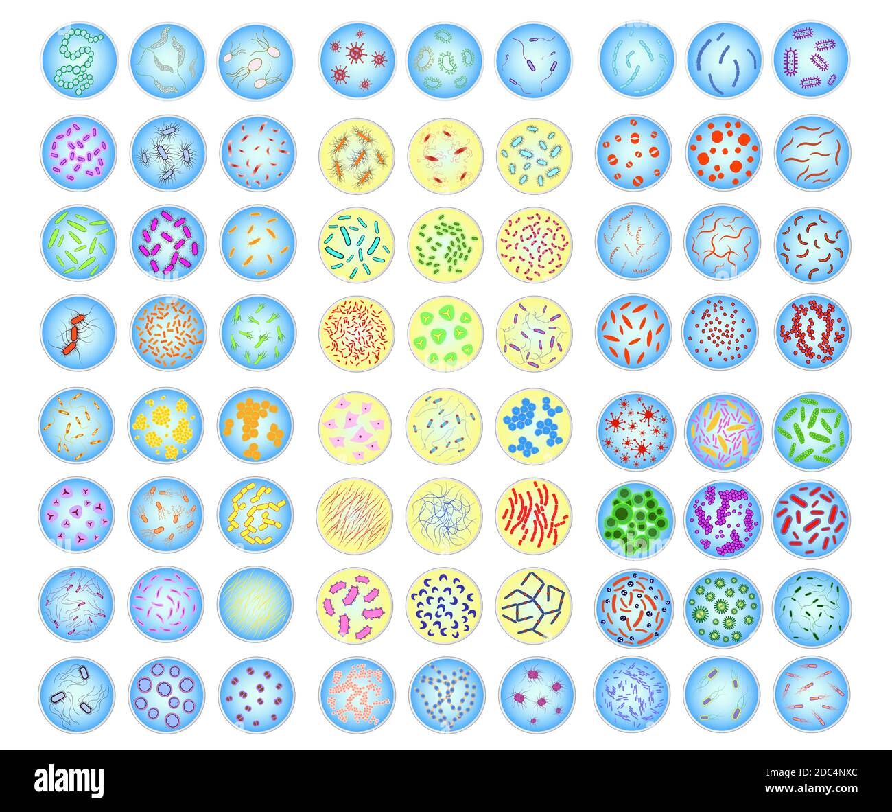 Large set of stylized images of colored bacteria in Petri dish ...