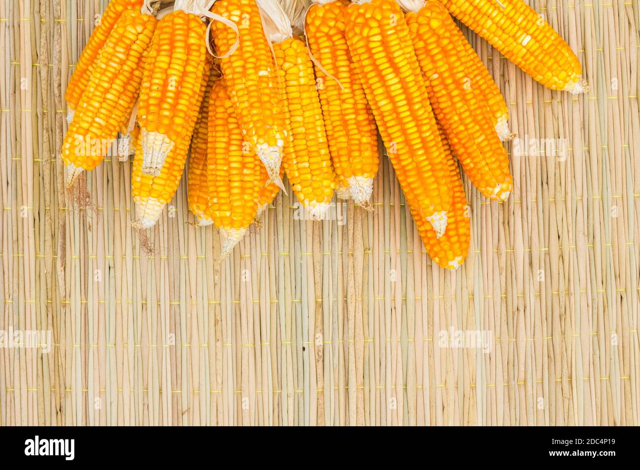 dry corn on thai traditional mat with copyspace on the below ...