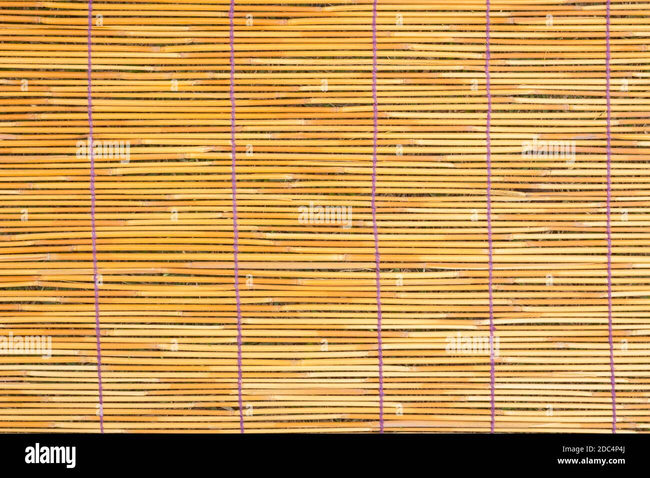 Orange bamboo hi-res stock photography and images - Alamy