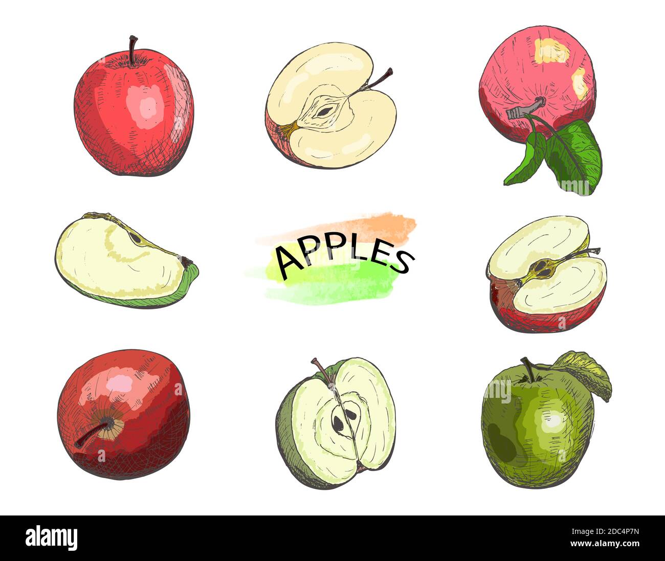 Hand drawn colored apples set isolated on white background.Vintage food ...