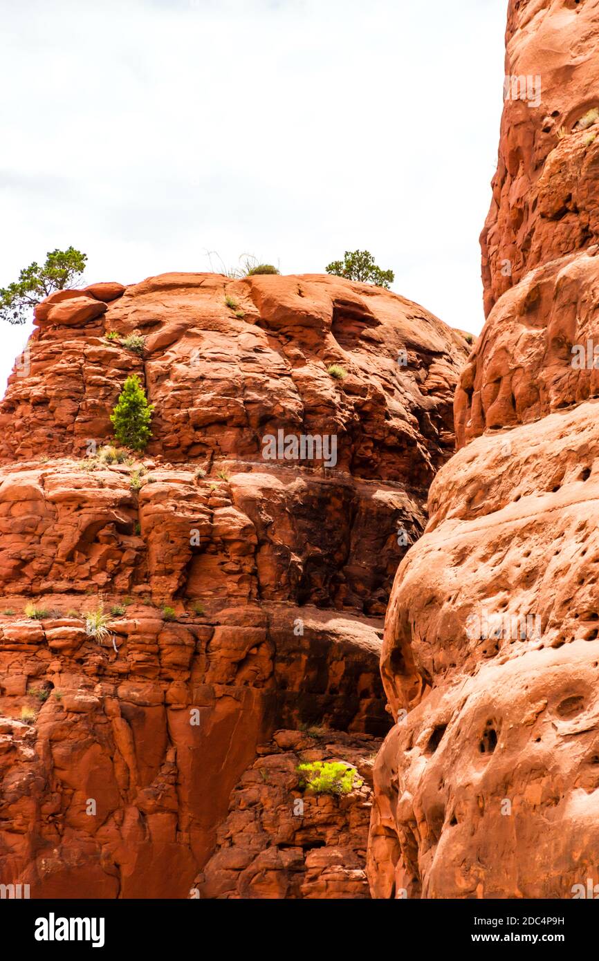 Sedona, Arizona, Rock Steps Stock Photo - Alamy