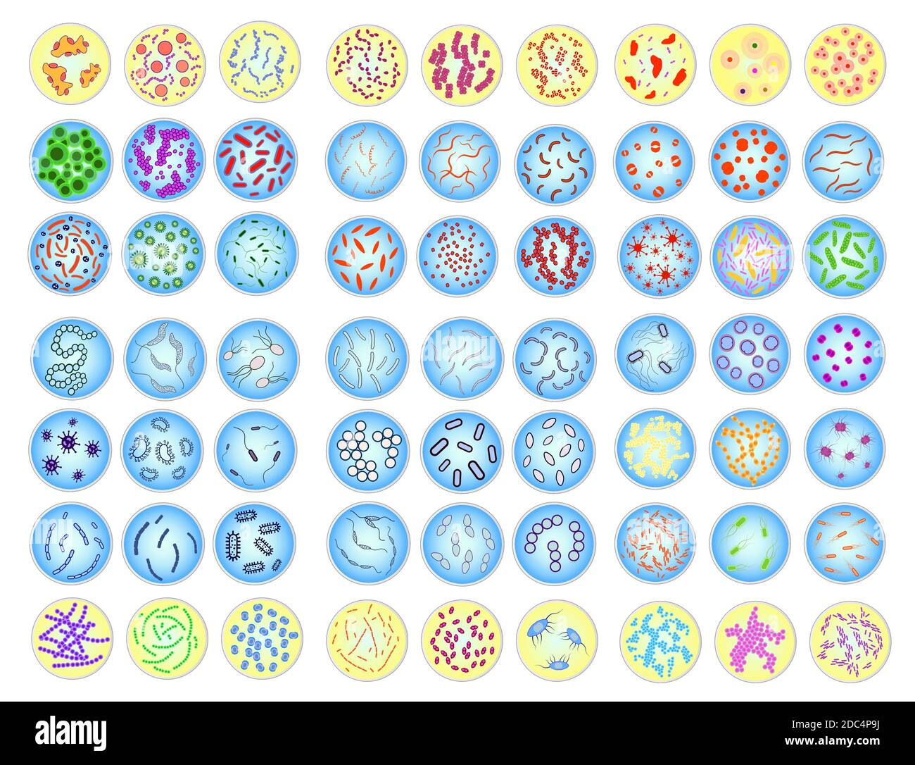 Large set of stylized images of colored bacteria in Petri dish ...