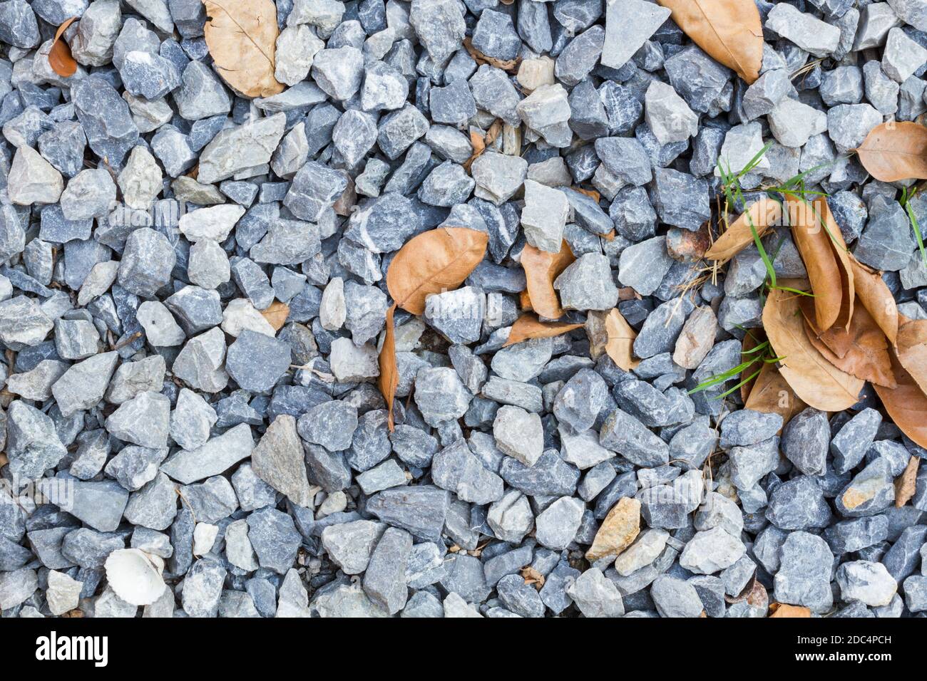 blue rock texture on the ground, with dry leaves, background Stock ...
