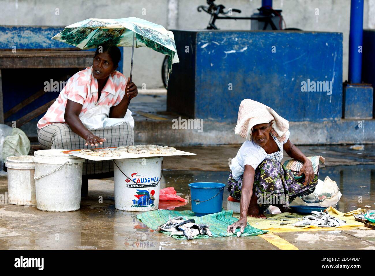 Ladies selling fish and crabs at the Negombo Fish Market in Sri Lanka ...