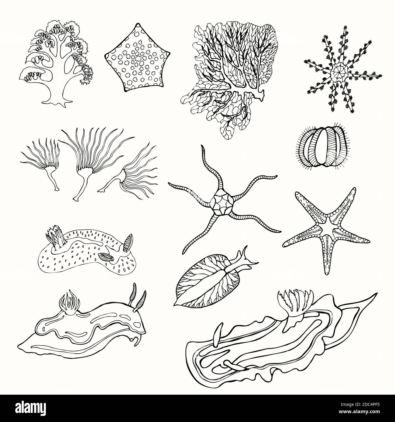 Hand drawn marine life set. Isolated on white. Sketch vector ...