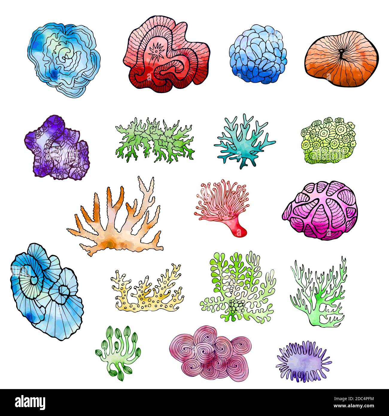 Hand drawn marine life set with watercolor background.Isolated on white ...