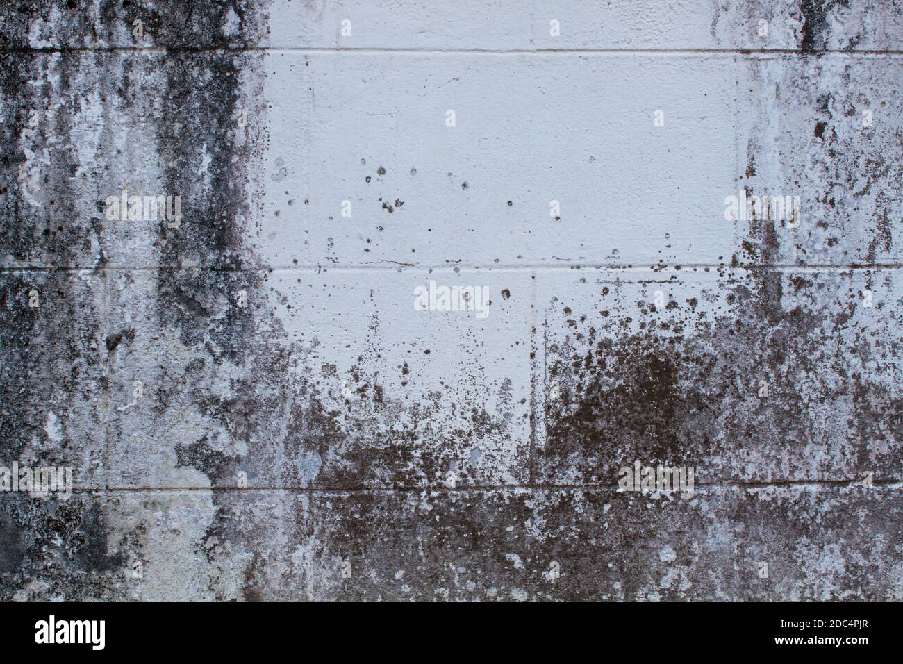 Middle grey hi-res stock photography and images - Alamy