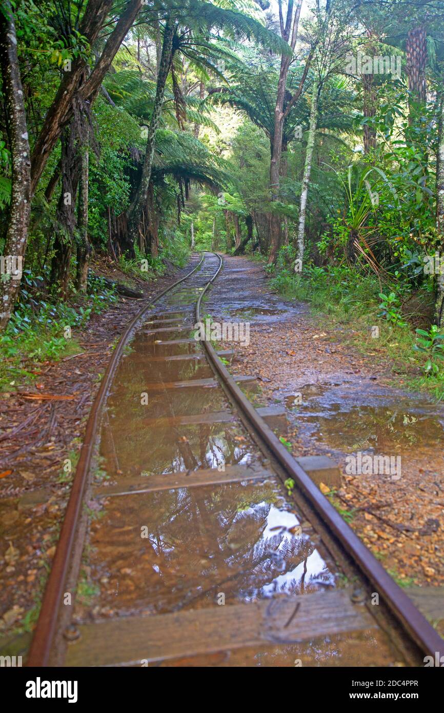 Old mining railway in Karangahake Gorge Stock Photo - Alamy