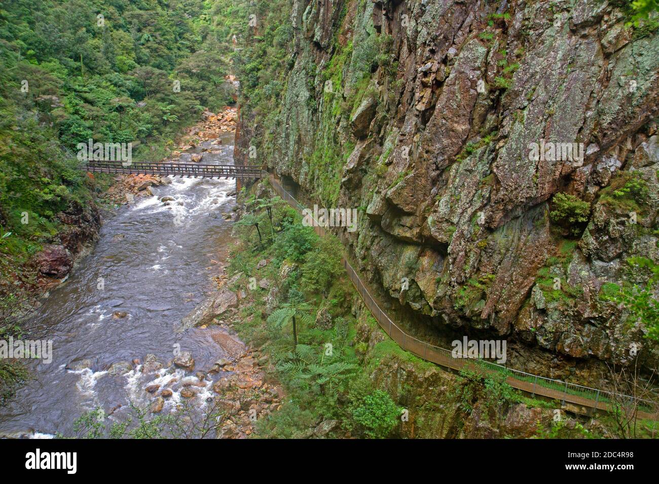 The Windows Walk in Karangahake Gorge Stock Photo - Alamy