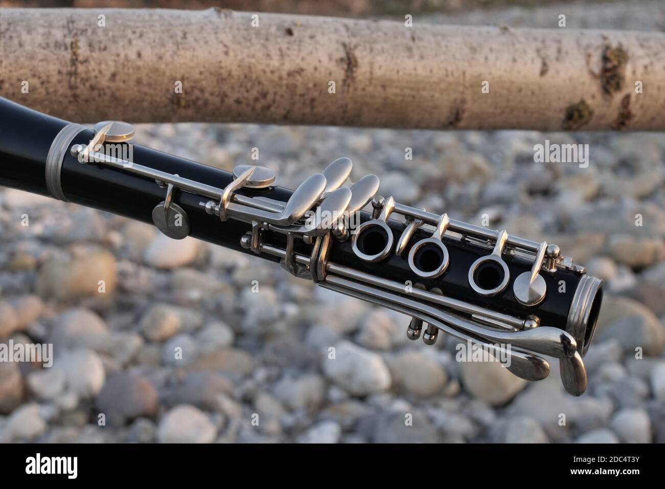 Disassembled clarinet hanging from a branch along the Brembo river ...