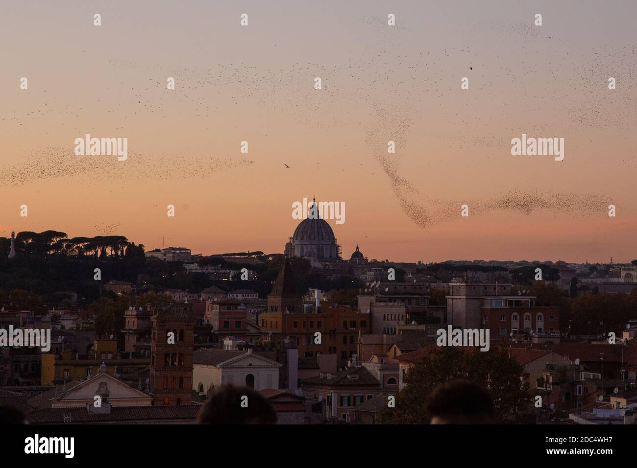 Storni roma hi-res stock photography and images - Alamy