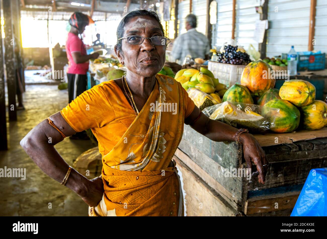 A lady selling melons at the Jaffna market. Jaffna is the largest town ...