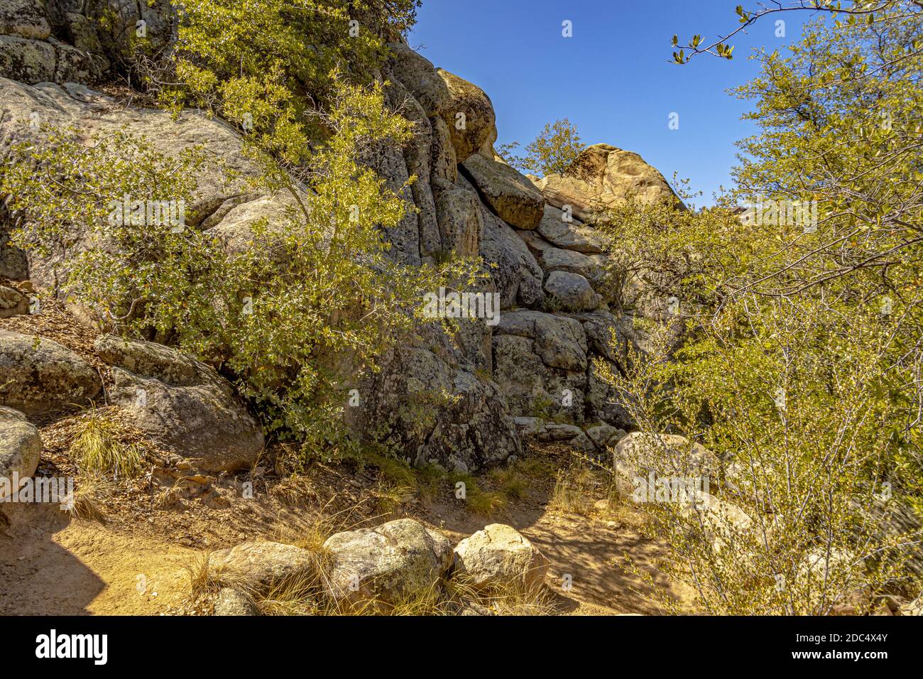 Arizona desert trail hi-res stock photography and images - Alamy