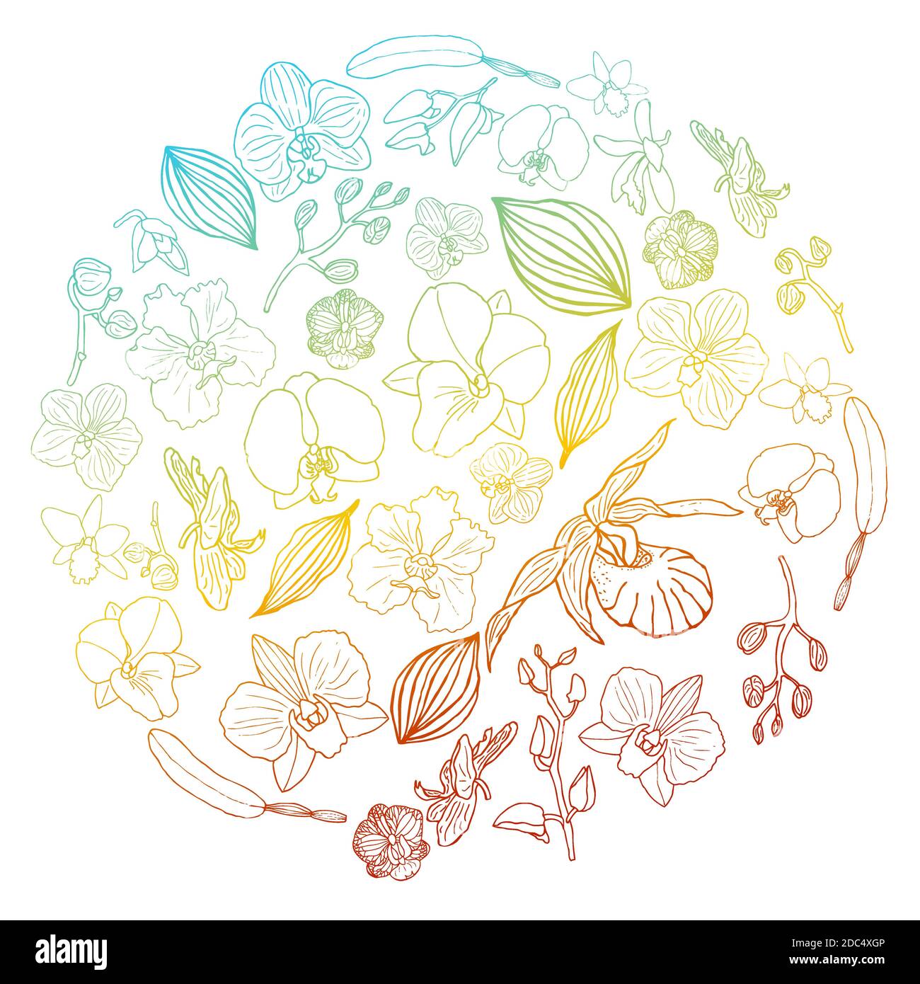 Hand drawn set of orchid flowers and floral elements in circle shape ...