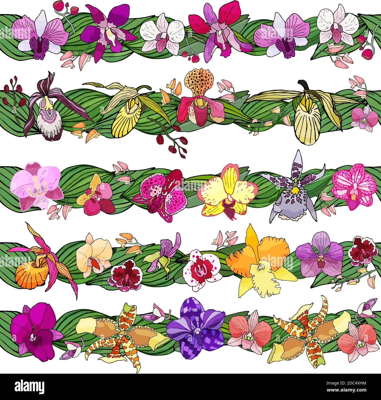 Hand drawn set of floral brushes. Colored vector illustration. elements for design. Orchids ...