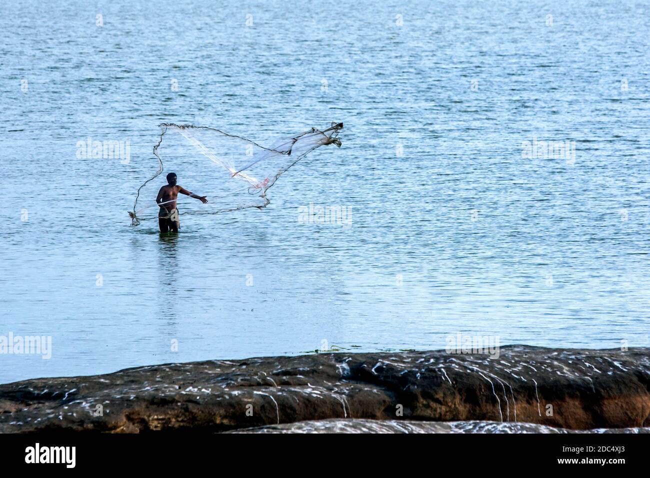 Despite the presence of crocodiles a fisherman casts his net into ...