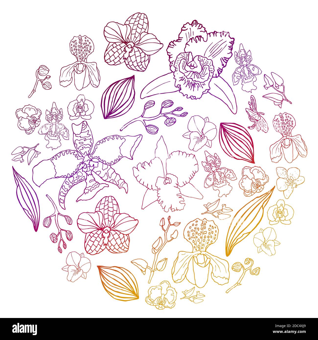 Hand drawn set of orchid flowers and floral elements in circle shape ...