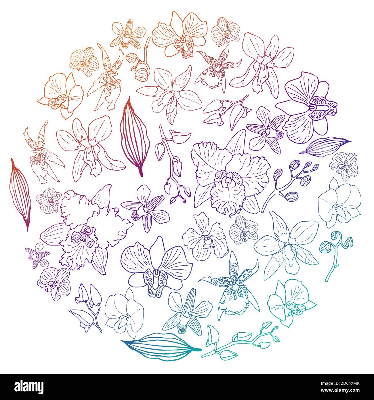 Hand drawn set of orchid flowers and floral elements in circle shape ...
