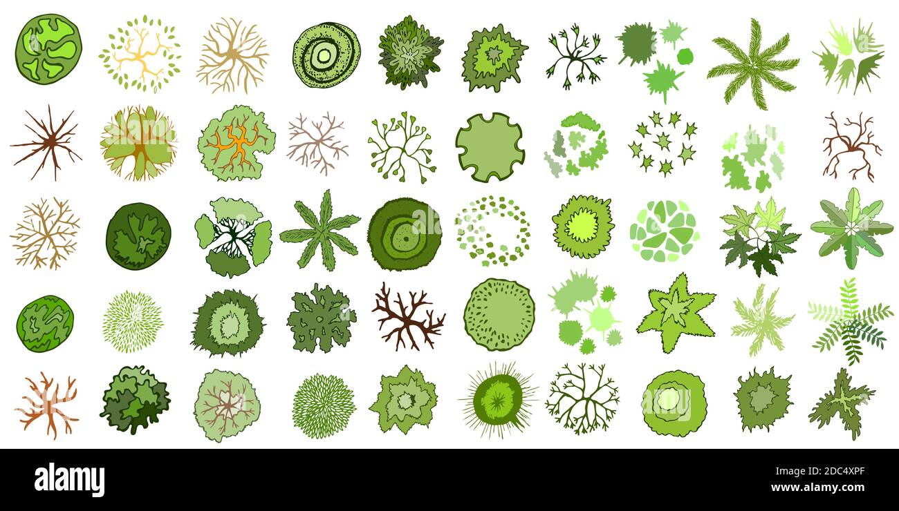 Set of colored hand drawn stylized top view trees and plants. Graphic ...