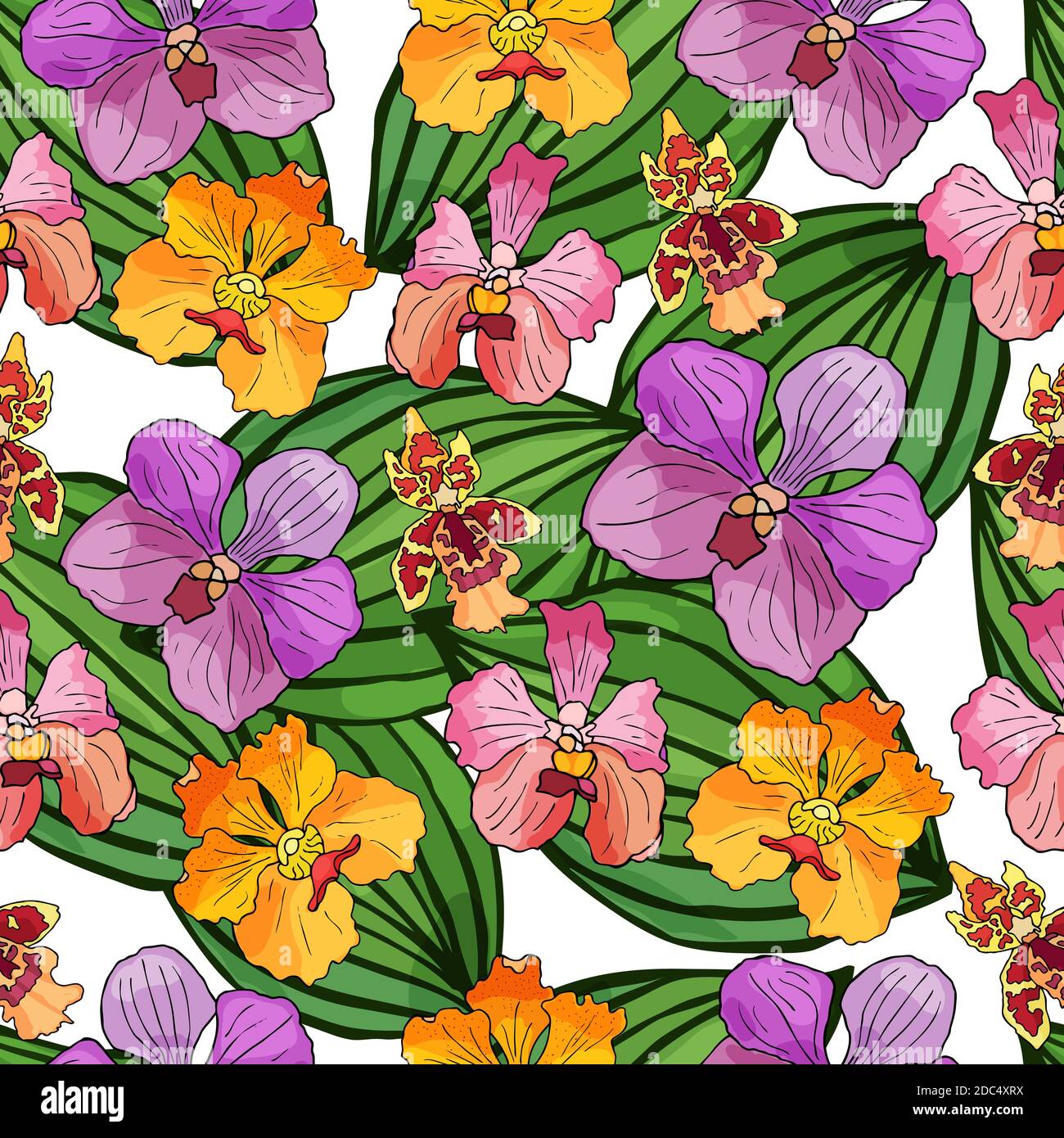 Seamless Pattern With Hand Drawn Orchids And Floral Elements Colored