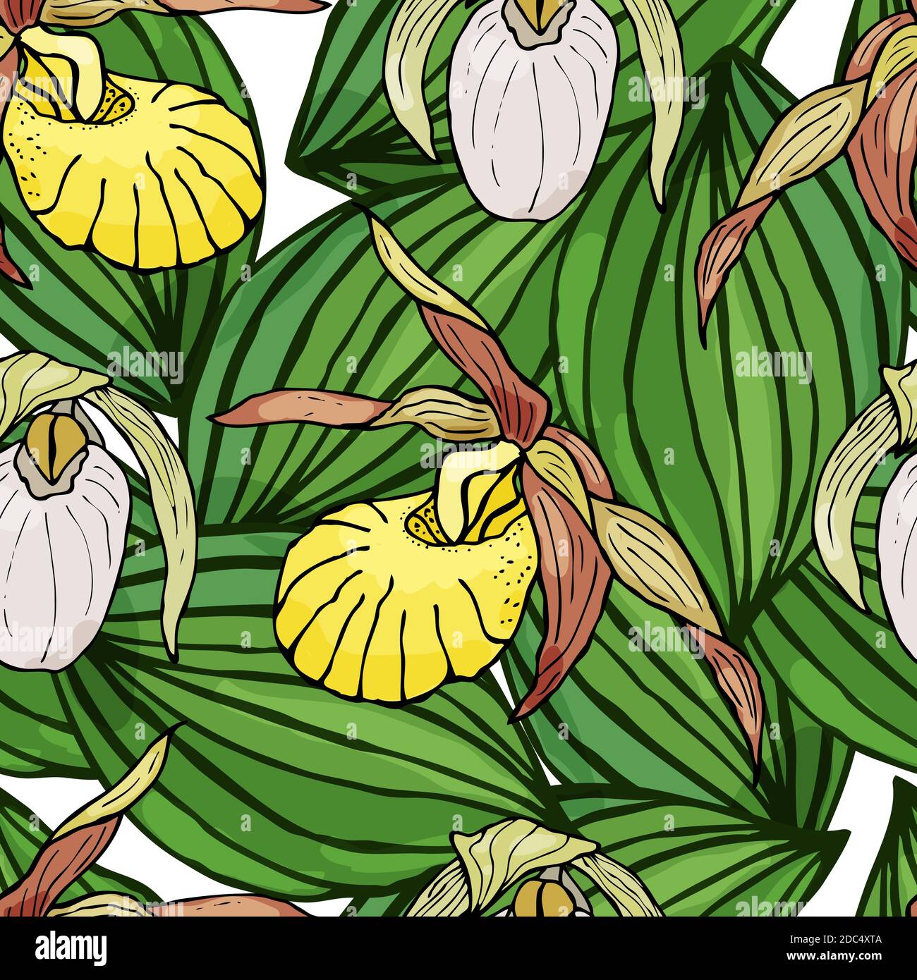Seamless Pattern With Hand Drawn Orchids And Floral Elements Colored
