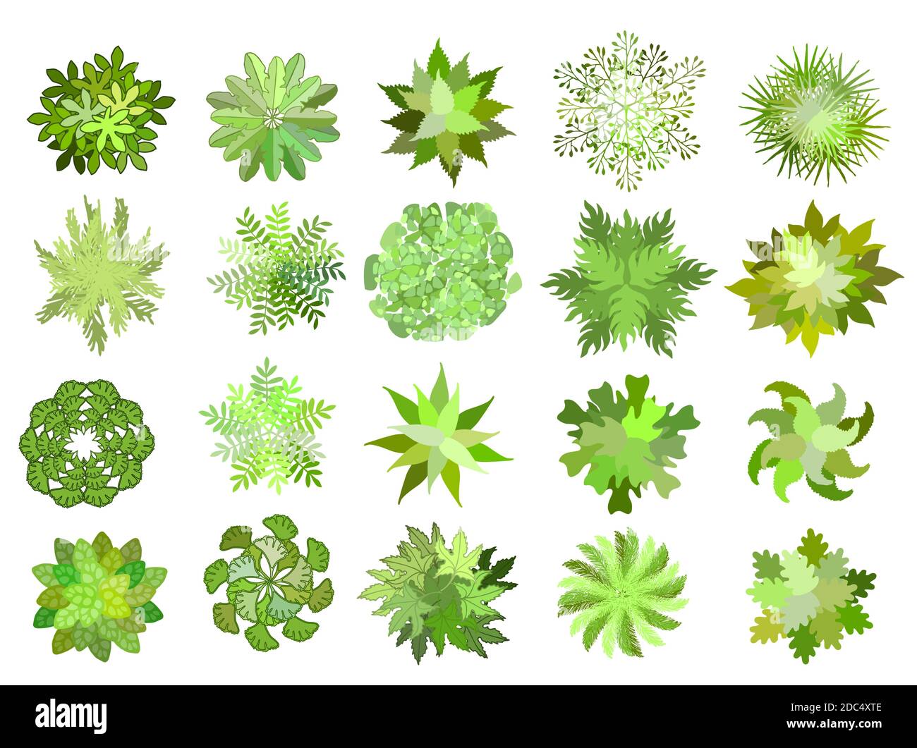 Set of colored hand drawn stylized top view trees and plants. Graphic ...