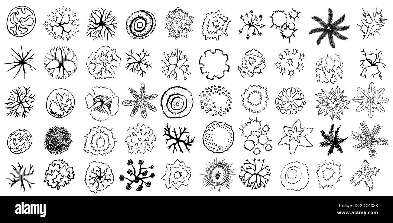 Plants Architecture Plan