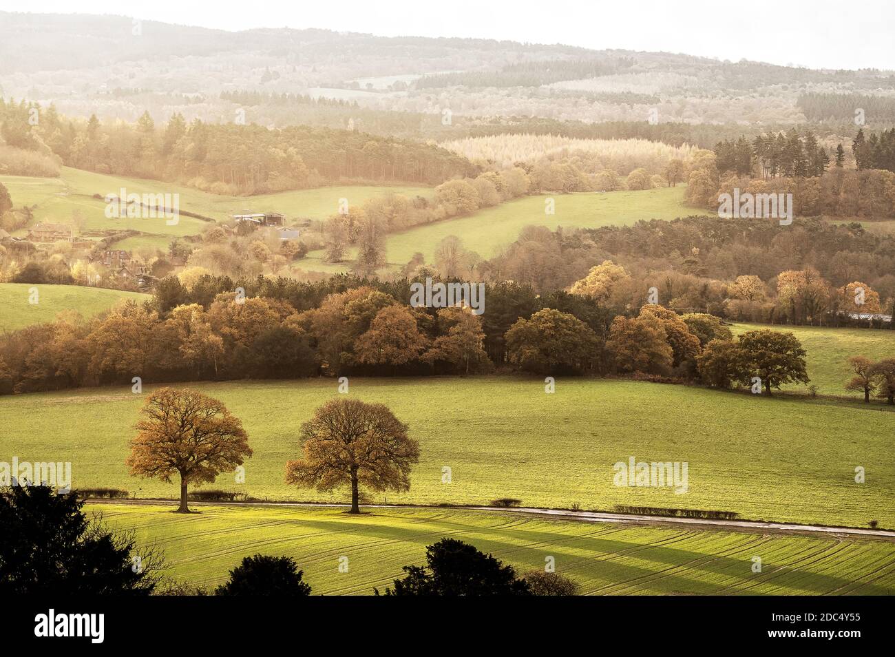 North downs view from Newlands corner Stock Photo - Alamy