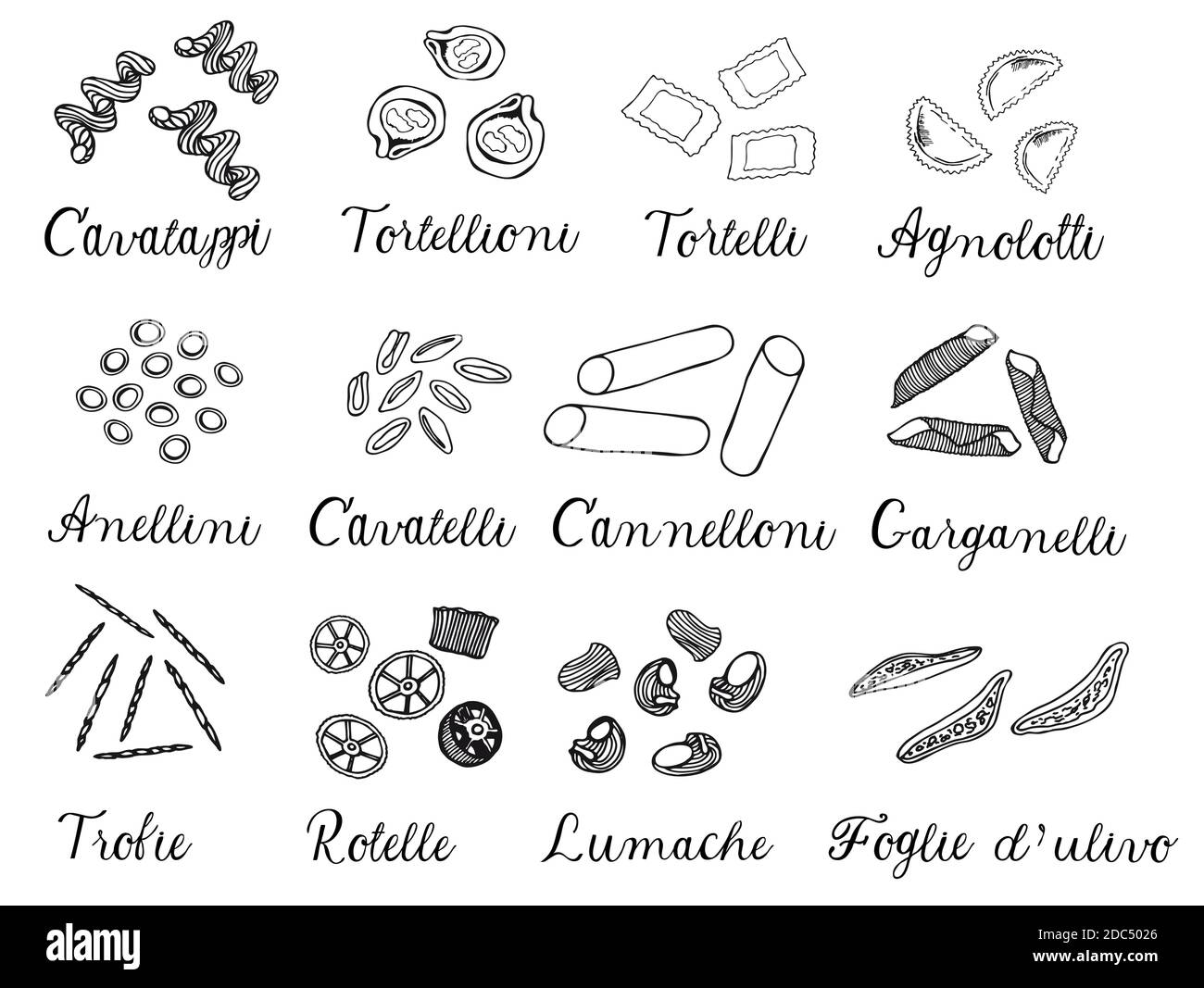 Hand drawn large set of different types of Italian pasta with names ...